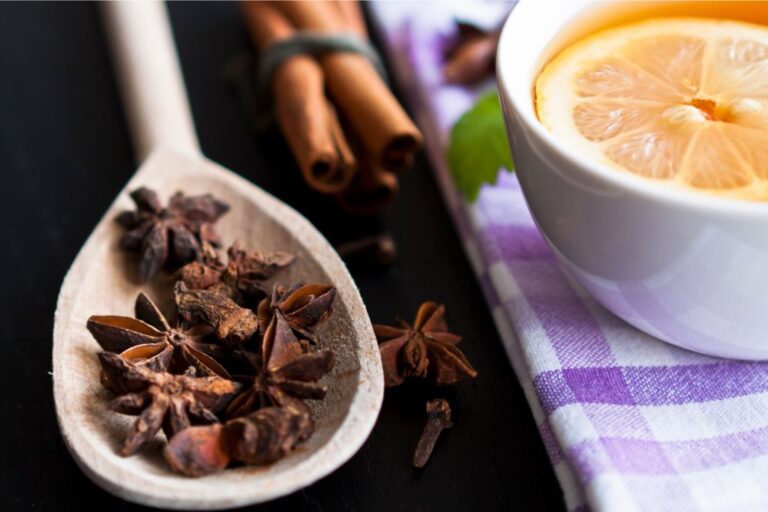A Complete Guide To Make A Tea Using Star Anise | TeaJoy