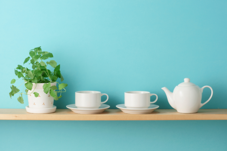 Complete Guide: How To Clean Your Teapot