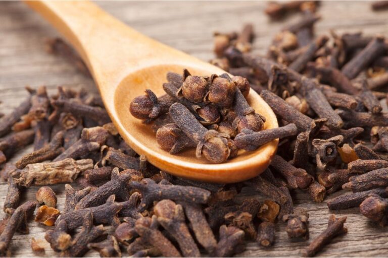 How To Make Clove Tea | Tea Joy