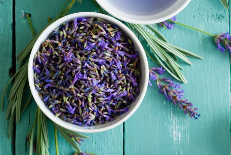 From Spices to Sweeteners: What to Put in Your Tea | Tea Joy