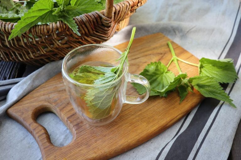 Embrace Nature’s Bounty: Homemade Nettle Tea Recipe Guide