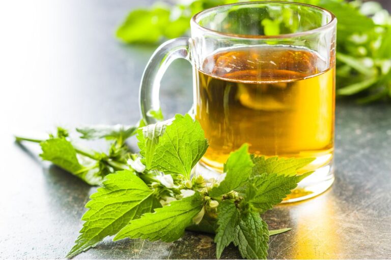 Embrace Nature’s Bounty: Homemade Nettle Tea Recipe Guide